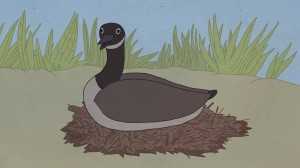 Hudson Geese an animated short film by Bernardo Britto