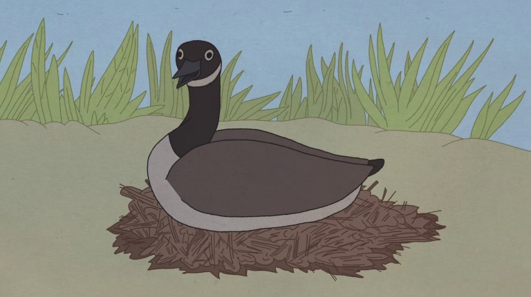 Hudson Geese an animated short film by Bernardo Britto