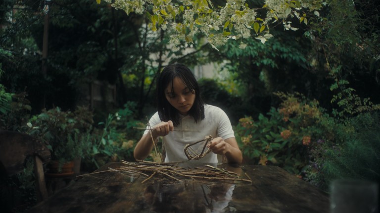 Pentatarmex Rabitular - a short film by Casey Friedman